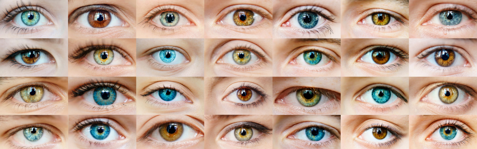 Eye Procedures – part one – Monmouth Academy